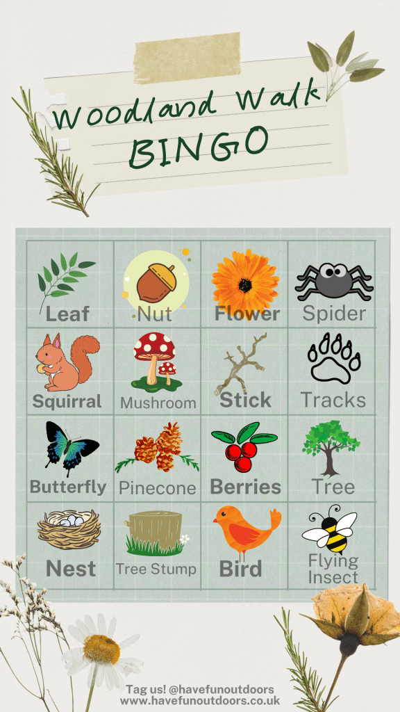 Planning a Woodland Walk With Children, Woodland Walk Bingo PDF