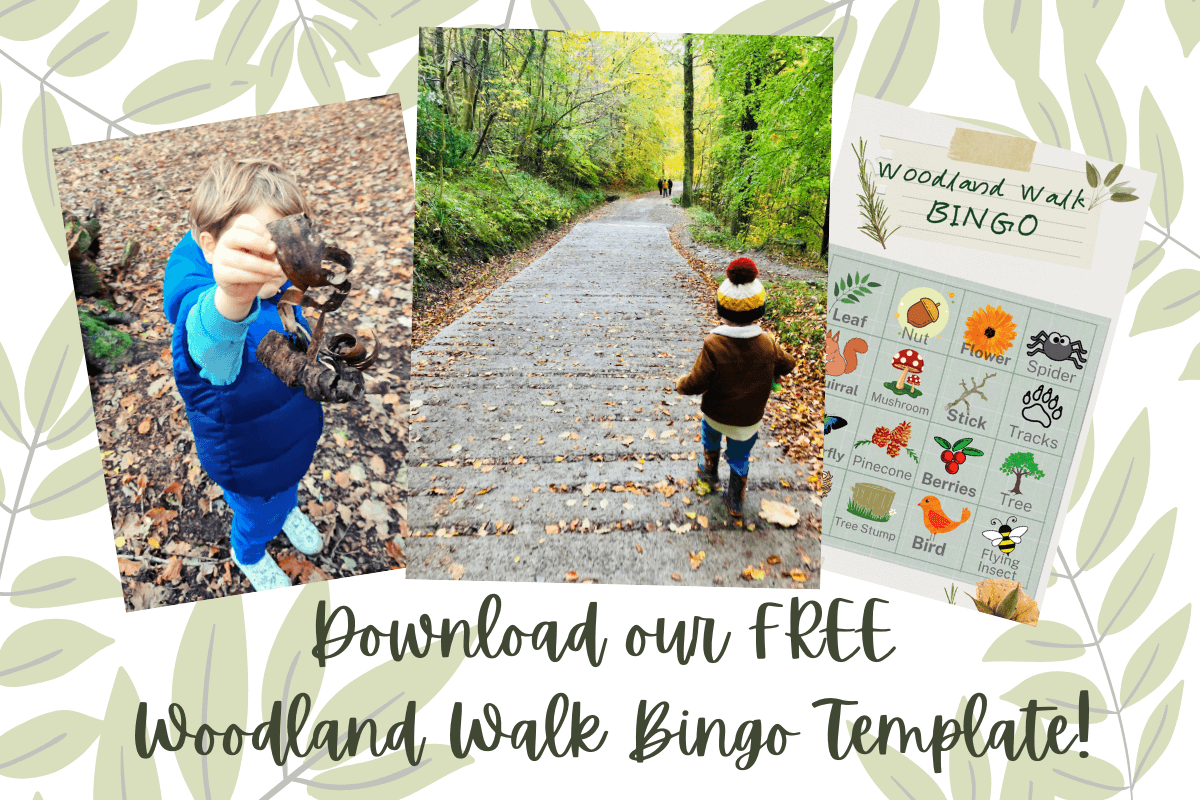 Planning a Woodland Walk With Children, Woodland Walk Bingo PDF