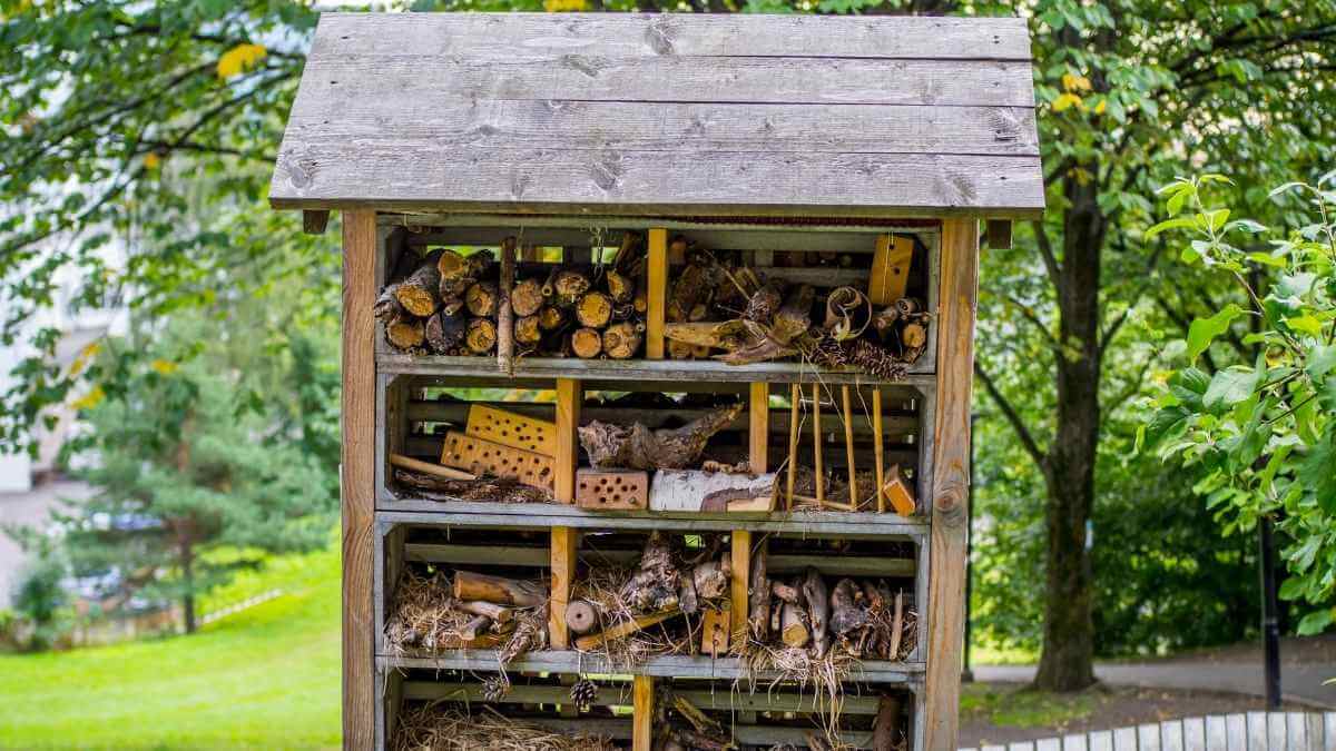 Make A Bug Hotel in Your Garden, How & Why To Build A Bug Hotel