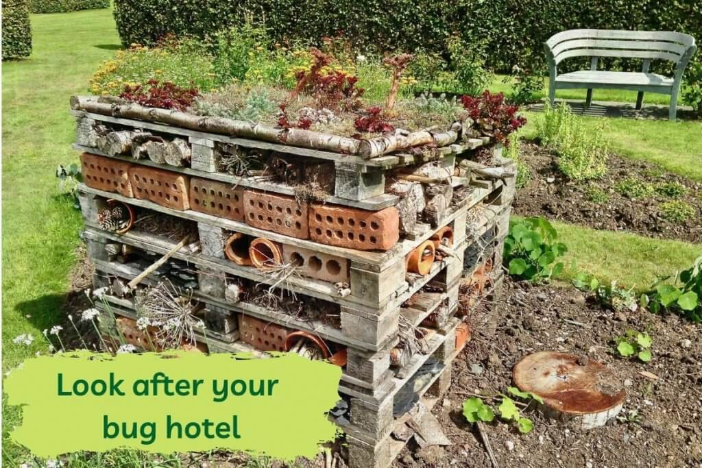 Make A Bug Hotel in Your Garden, How & Why To Build A Bug Hotel