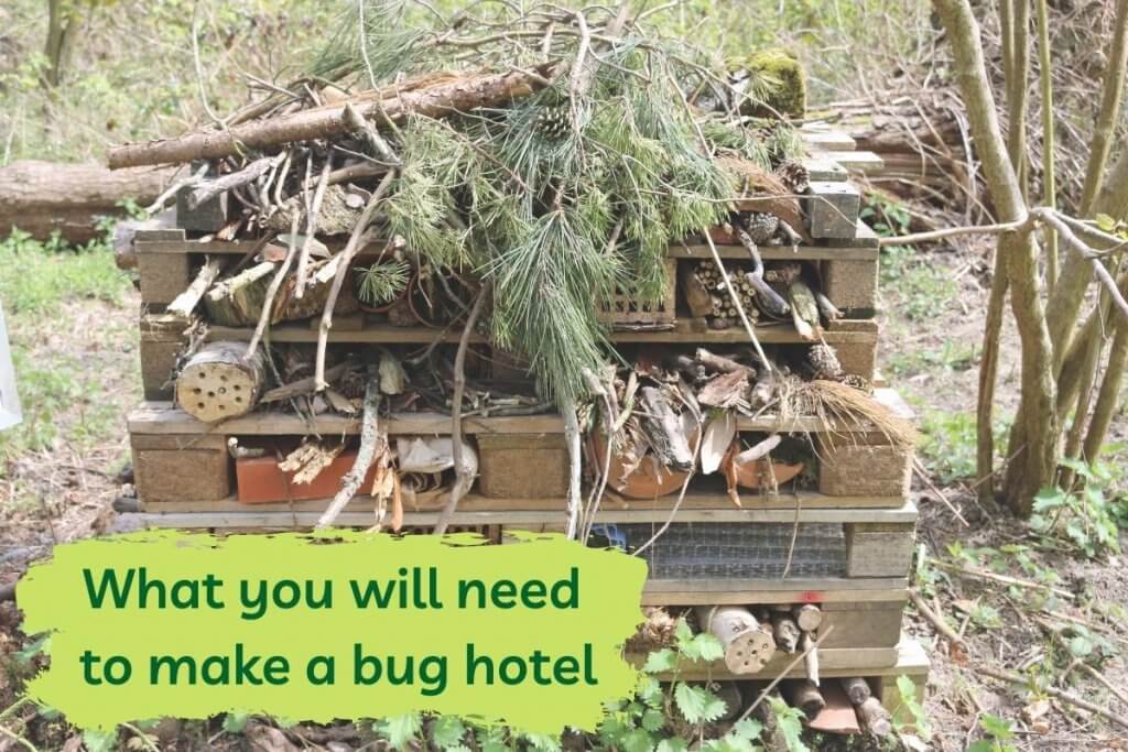 Make A Bug Hotel in Your Garden, How & Why To Build A Bug Hotel