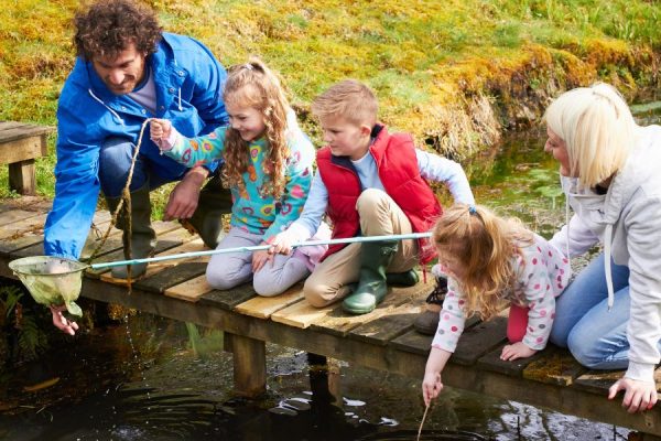 A Guide To Pond Dipping, All You Need To Know