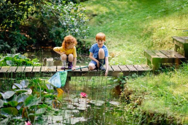 A Guide To Pond Dipping, All You Need To Know