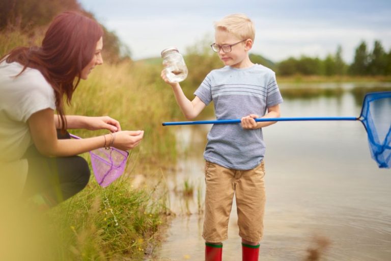 A Guide To Pond Dipping, All You Need To Know