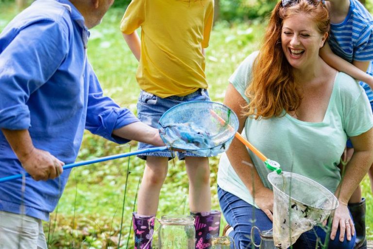 A Guide To Pond Dipping, All You Need To Know