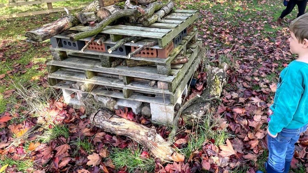 Forest School Activities to do at Home With Your Kids