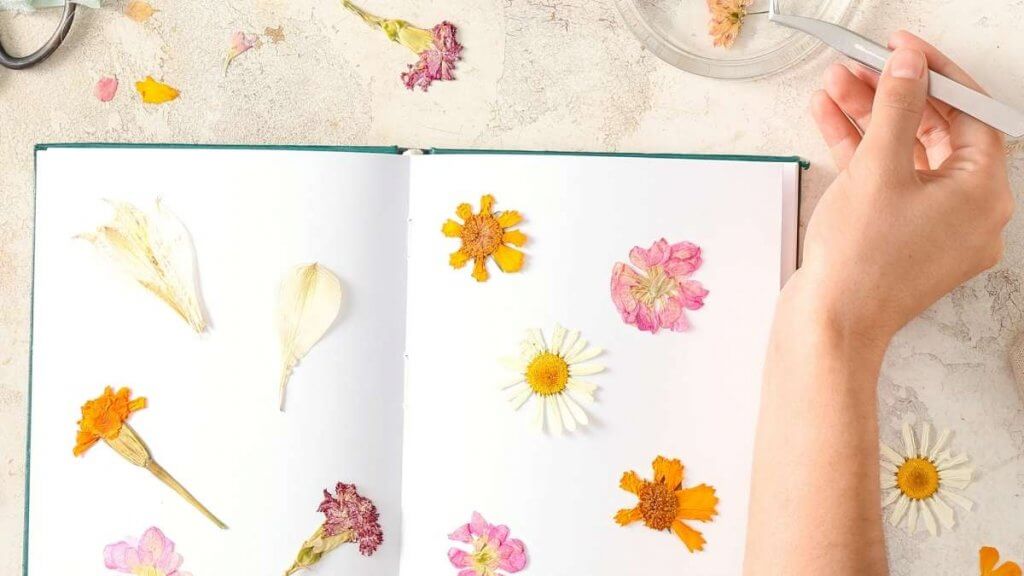 Forest School Activities to do at Home With Your Kids