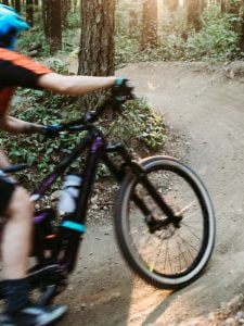Llandegla Forest, Walks, Mountain Biking, Wildlife & Adventure