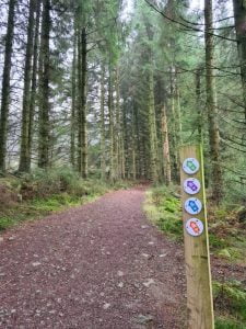 Llandegla Forest, Walks, Mountain Biking, Wildlife & Adventure