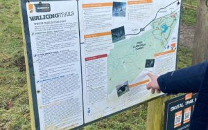 Llandegla Forest, Walks, Mountain Biking, Wildlife & Adventure