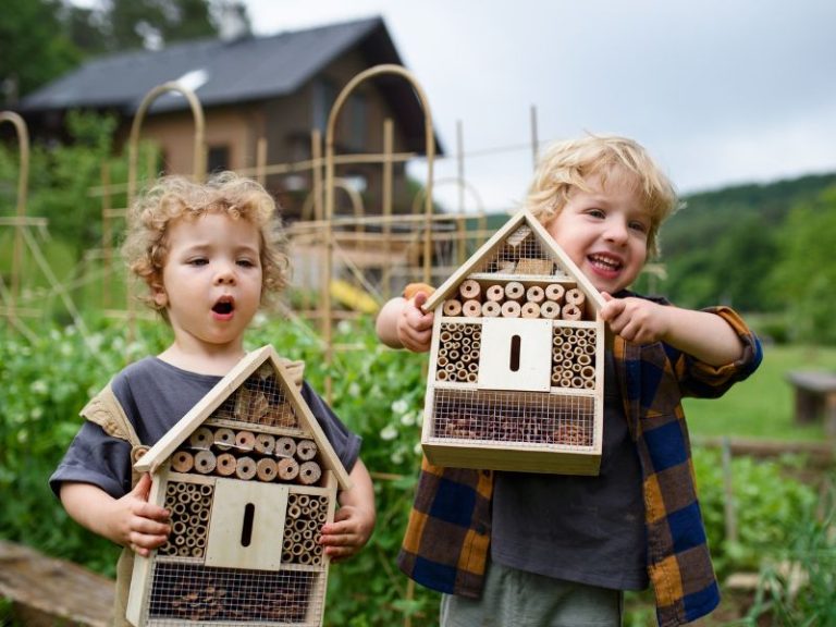 Make A Bug Hotel in Your Garden, How & Why To Build A Bug Hotel